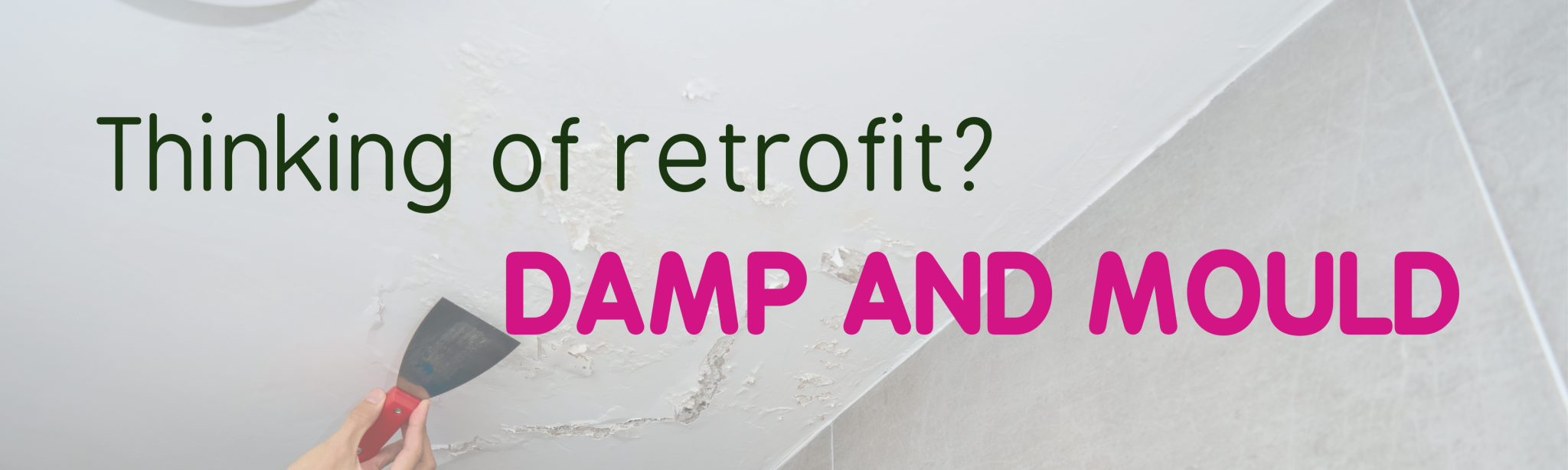 Thinking about retrofit? Damp and Mould - Futureproof Cumbria